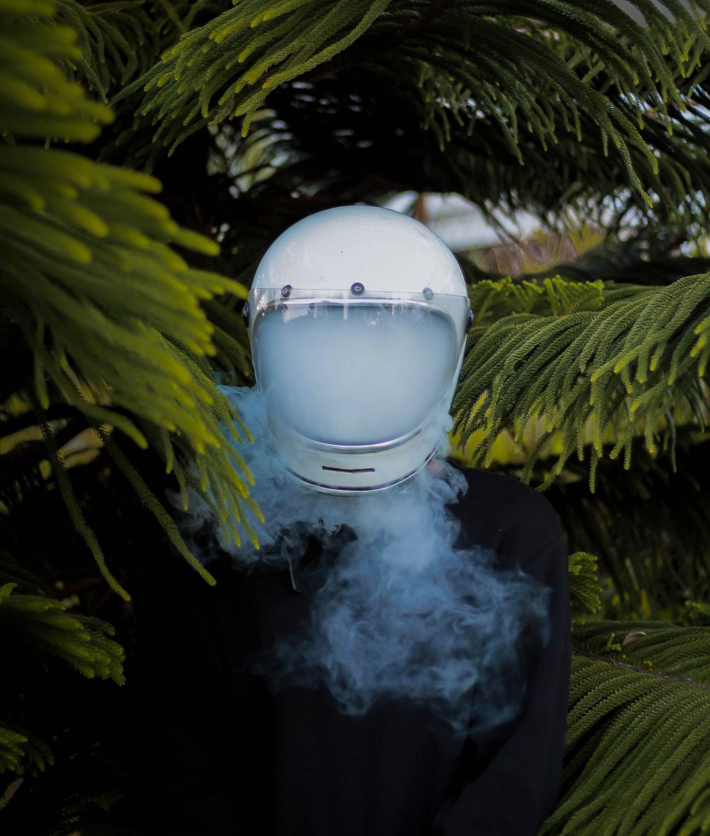 TOP - MIRYOKU | 竹材を徳島から世界へ。